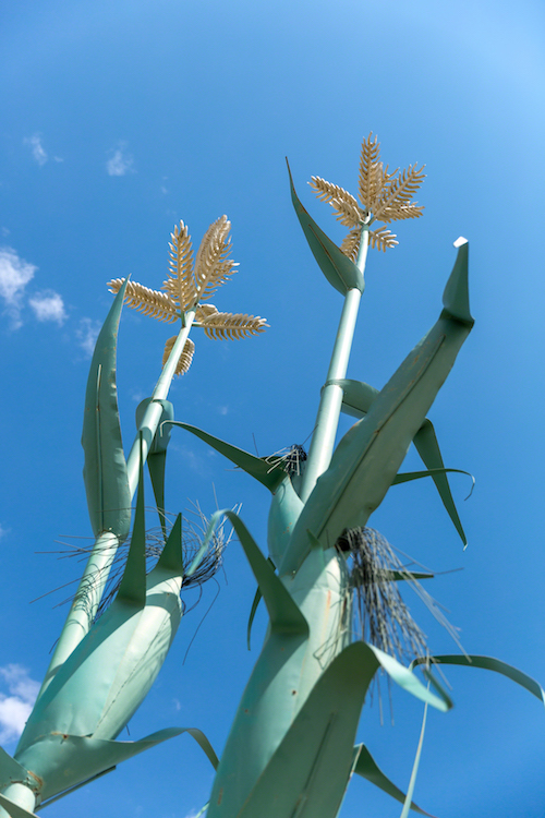 Taber Community « Taber, AB « Heritage Inn Hotels